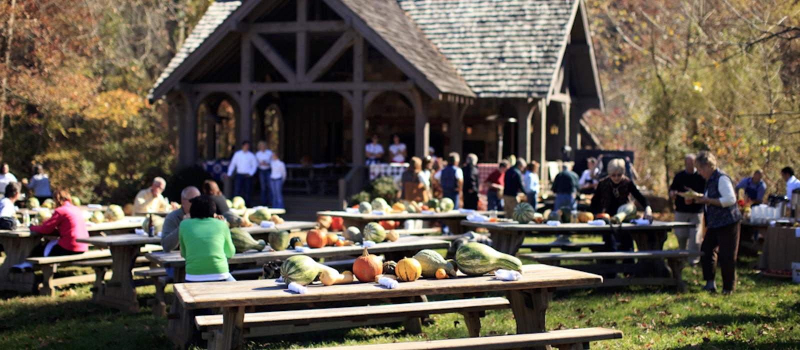 Fall Harvest Festival | Blackberry Magazine