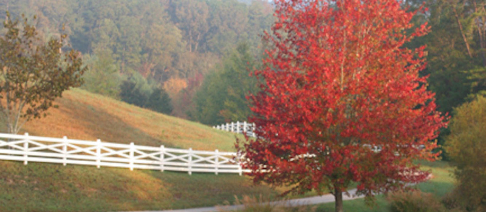 First Signs of Fall | Blackberry Magazine