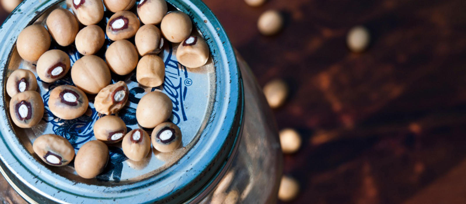 Goober Peas | Blackberry Magazine