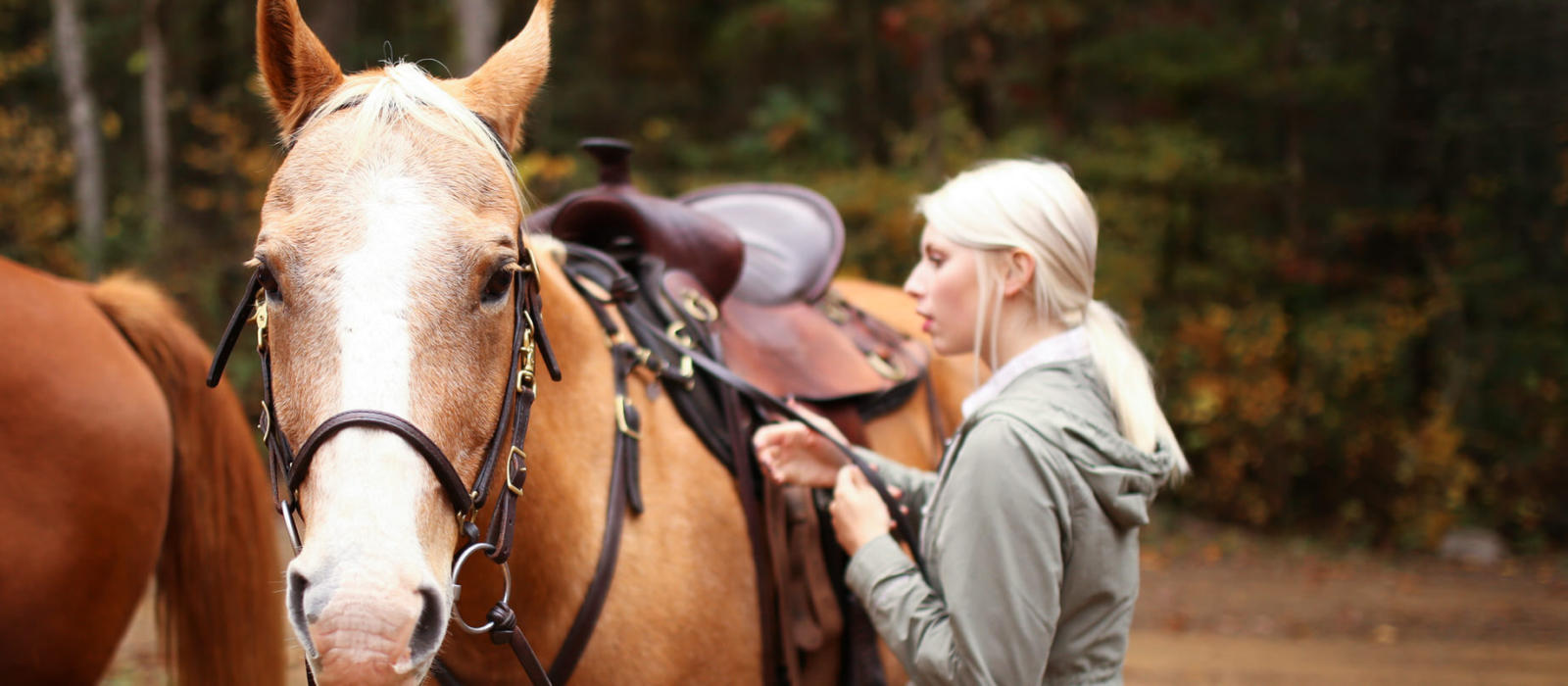 Natural Horsemanship at the Farm | Blackberry Magazine