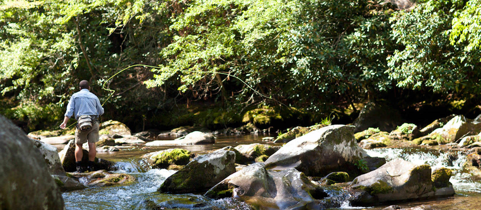 Covering Water | Blackberry Magazine