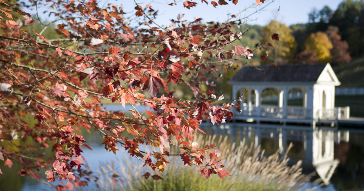 Classic Fall | Blackberry Magazine