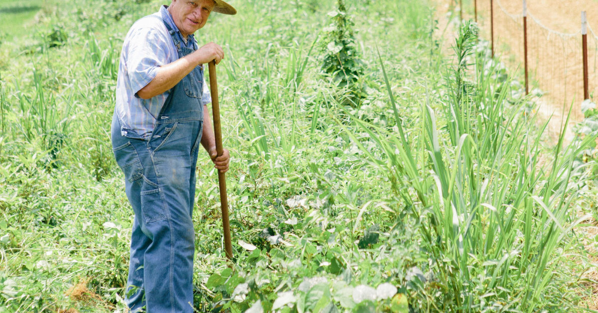 Deeply Rooted - A Documentary with John Coykendall | Blackberry Magazine
