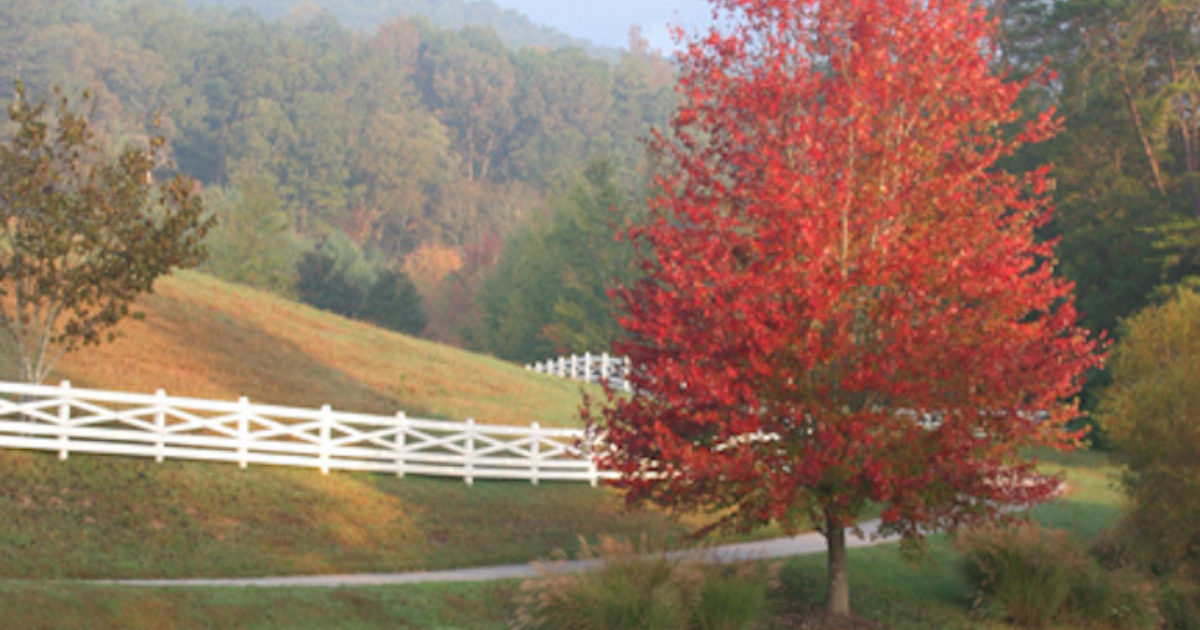 First Signs of Fall | Blackberry Magazine