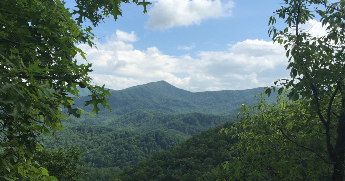 Gregory’s Bald Hike in Full Bloom! | Blackberry Magazine