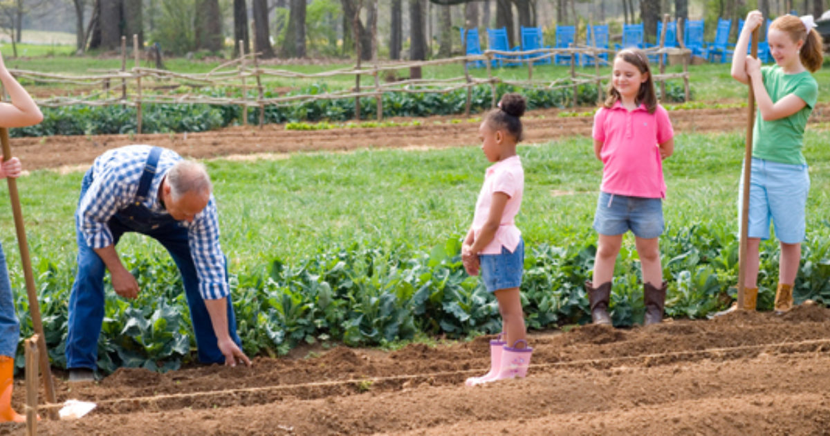 How to Get Your Kids to Eat Their Vegetables | Blackberry Magazine