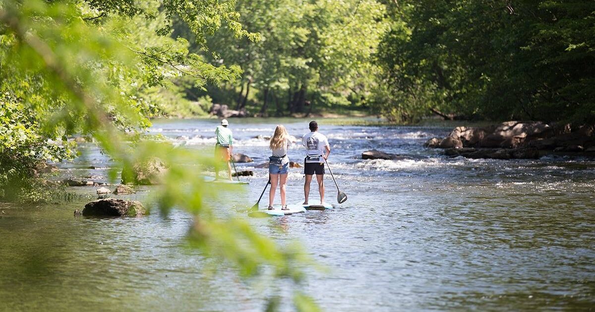 Paddle Days | Blackberry Magazine