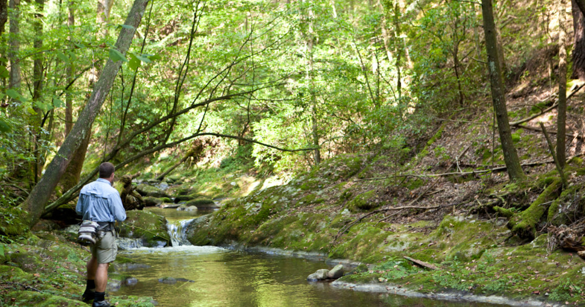 Why Fly Fish | Blackberry Magazine