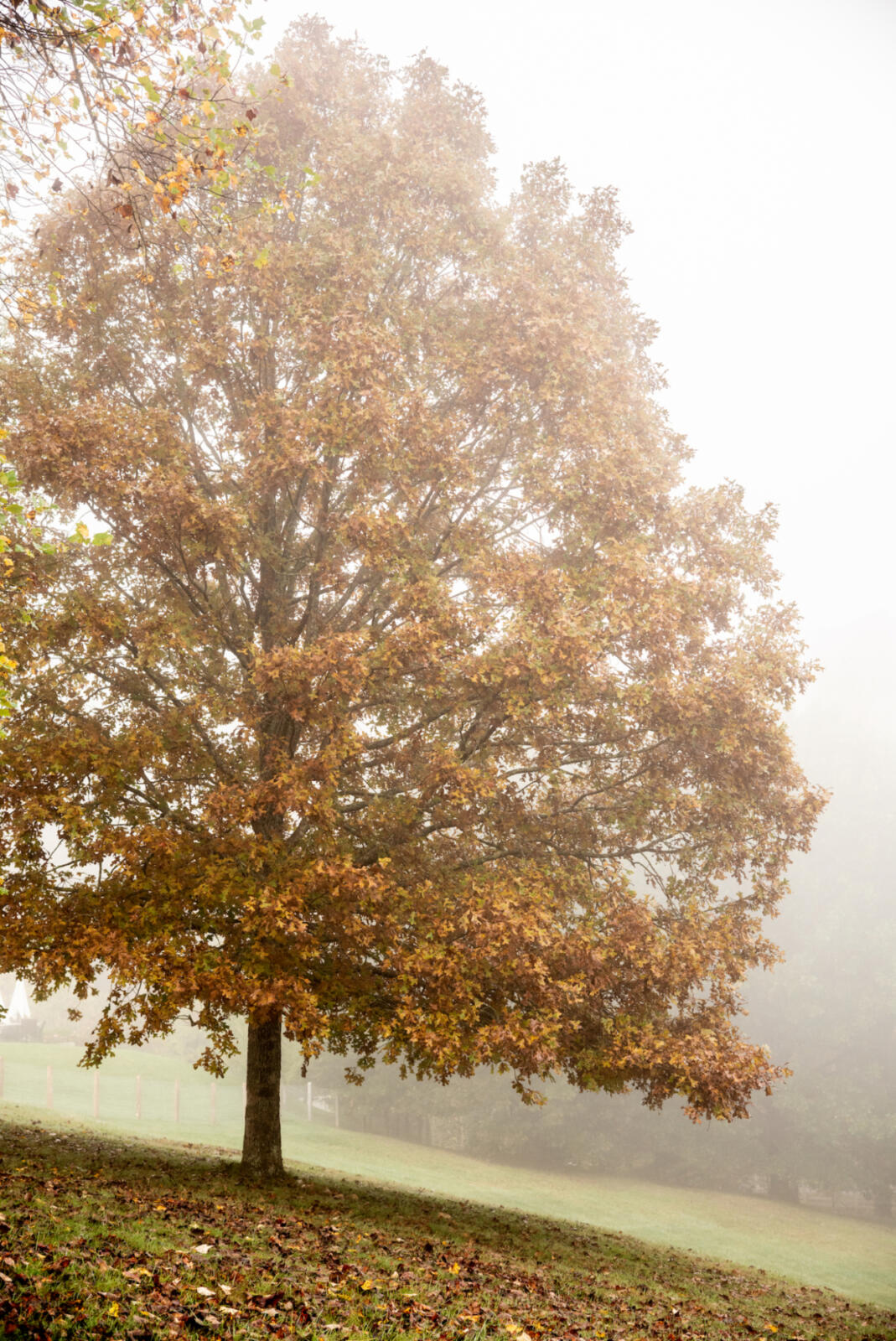 Fall at Blackberry Farm | Blackberry Magazine