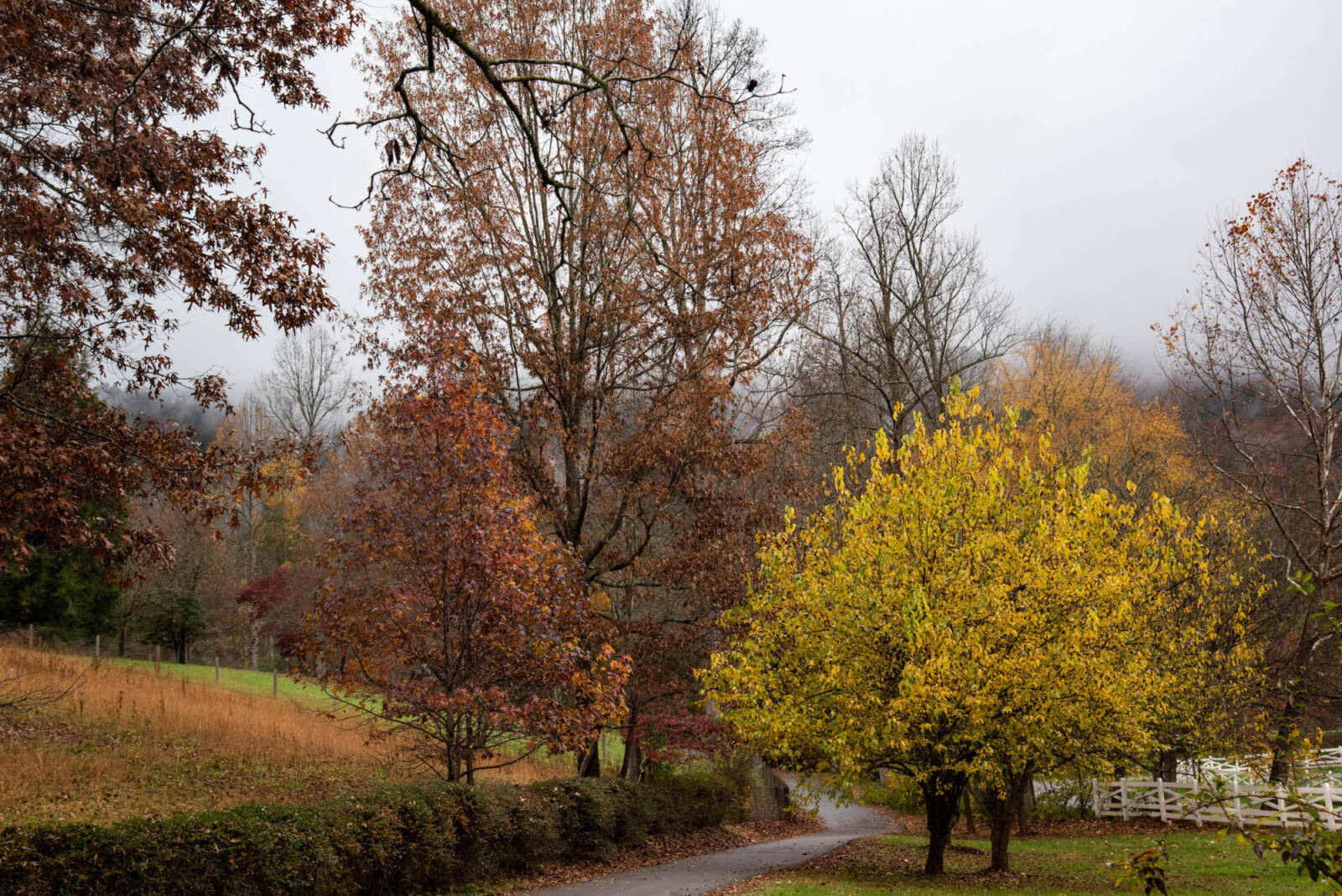 Fall at Blackberry Farm | Blackberry Magazine