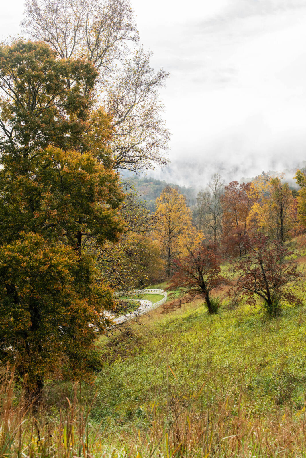 Fall at Blackberry Farm | Blackberry Magazine