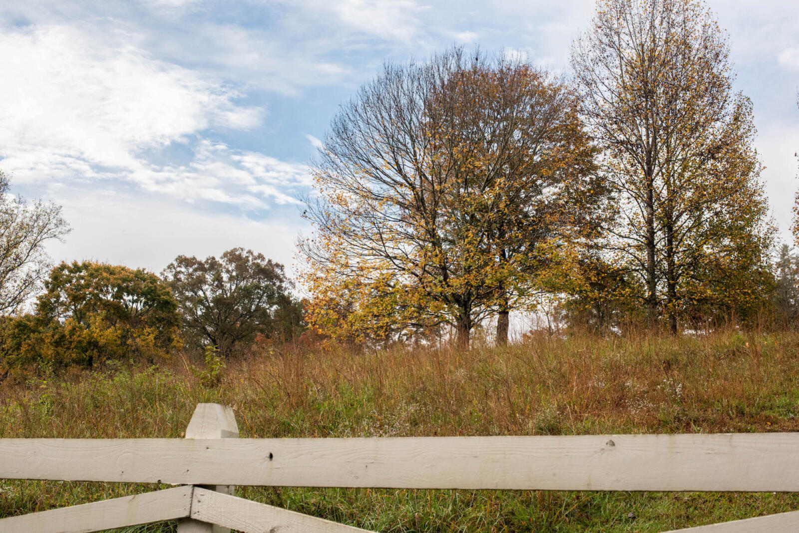 Fall at Blackberry Farm | Blackberry Magazine