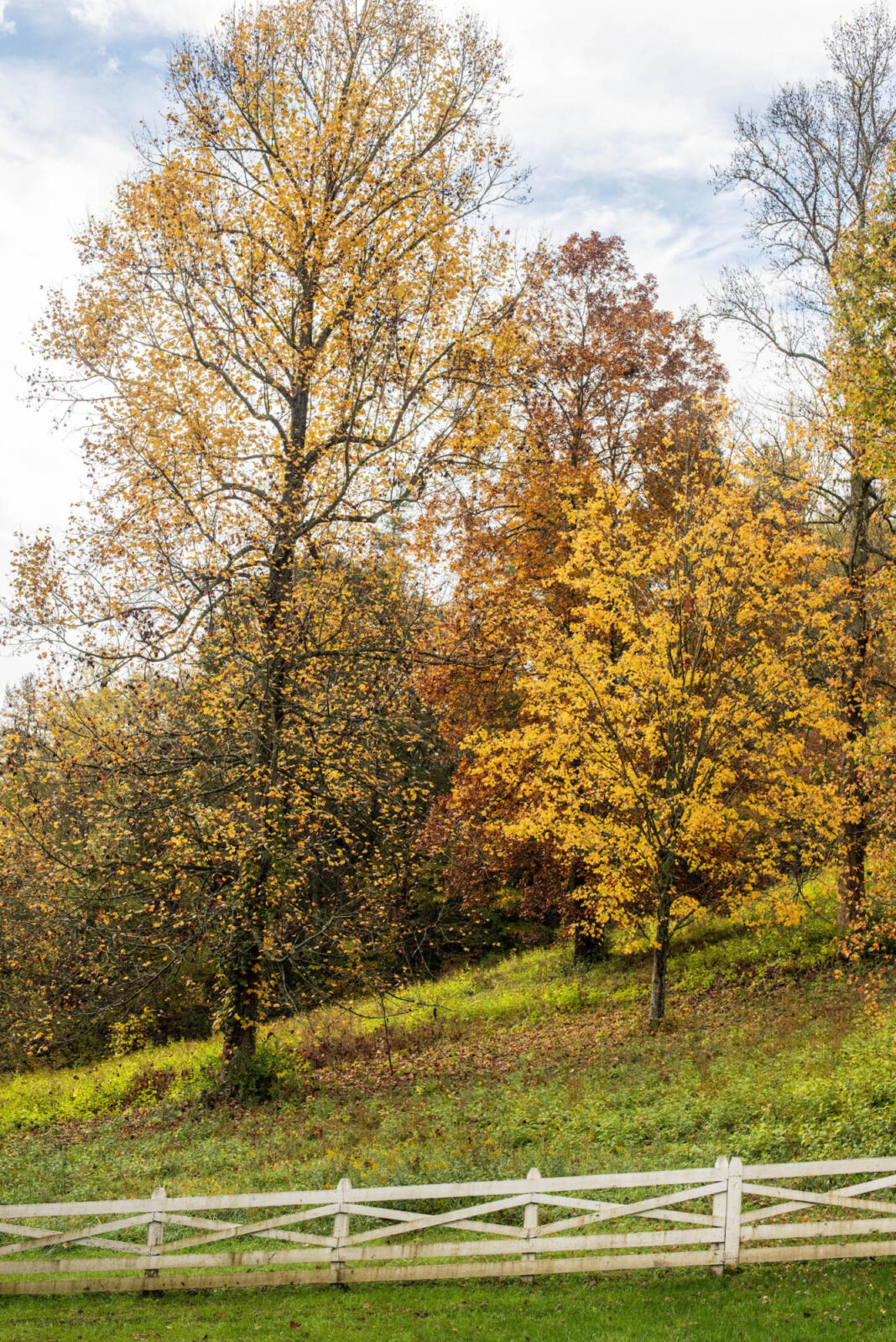 Fall at Blackberry Farm | Blackberry Magazine