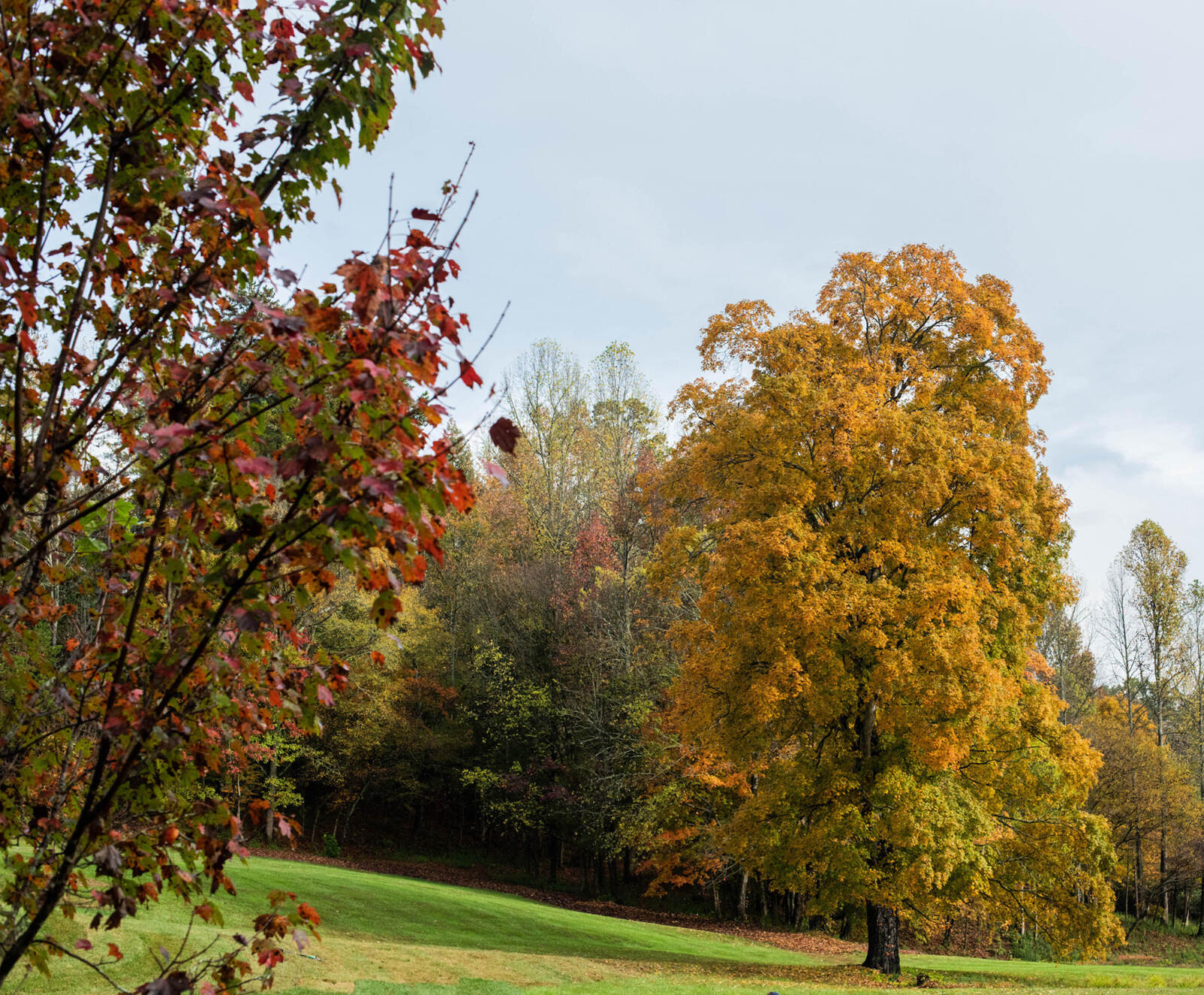 Fall at Blackberry Farm | Blackberry Magazine