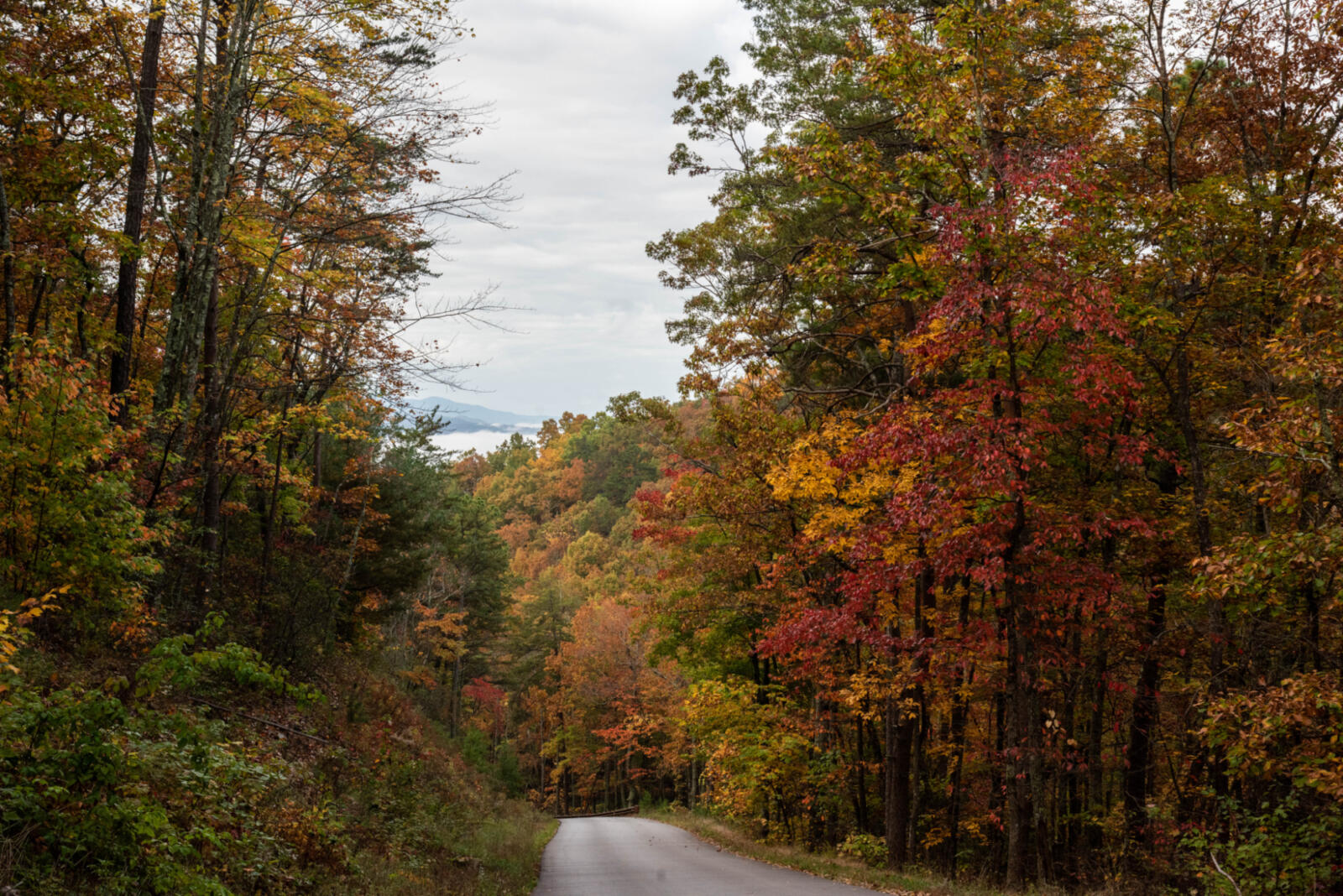 Blackberry Mountain Fall | Blackberry Magazine