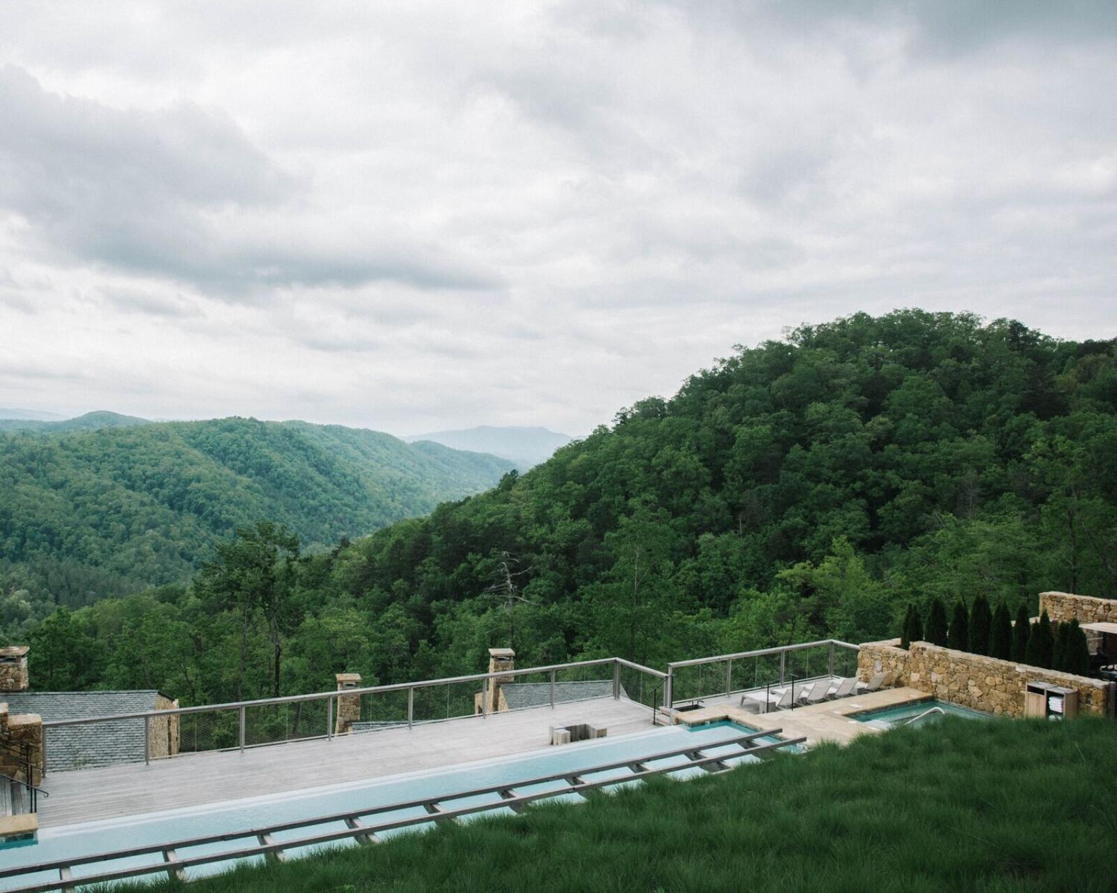 Blackberry Spring | Blackberry Magazine