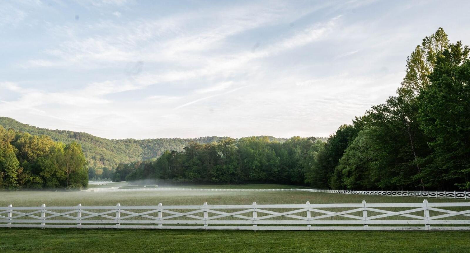 Blackberry Spring | Blackberry Magazine