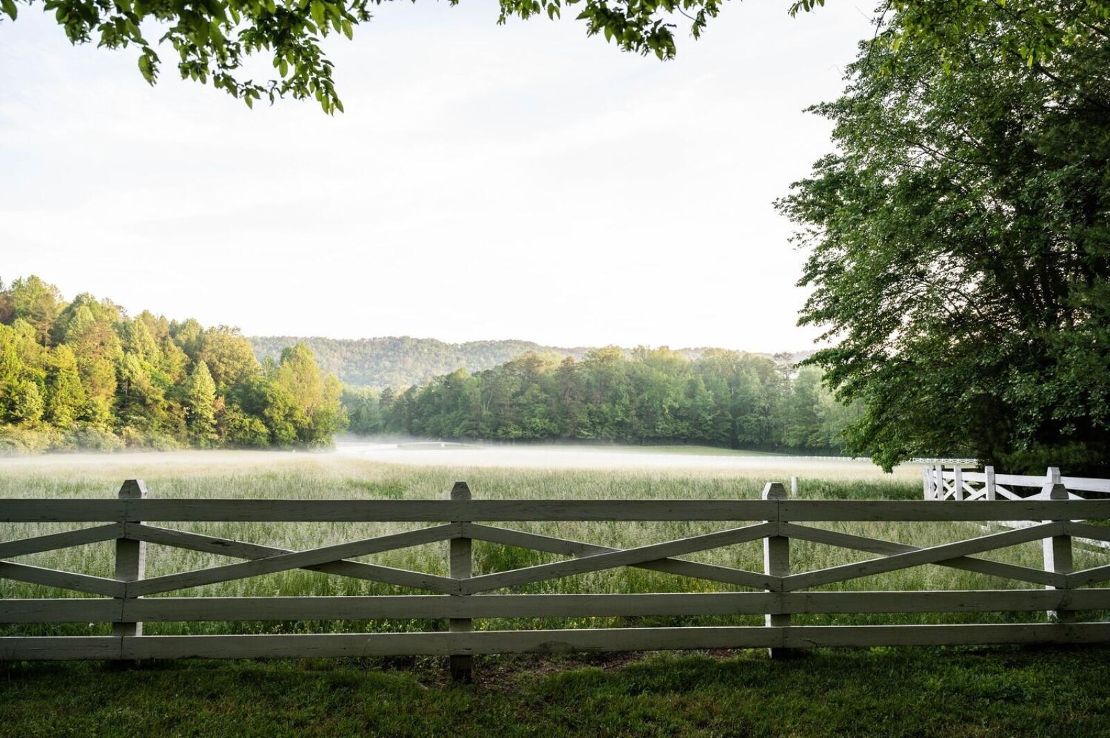 Blackberry Spring | Blackberry Magazine