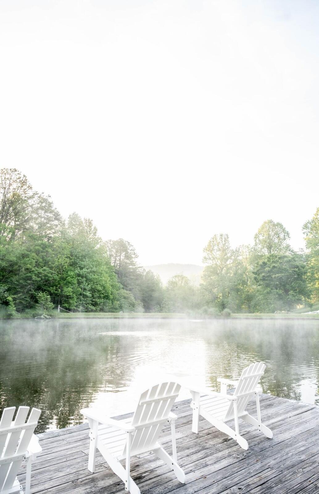 Blackberry Spring | Blackberry Magazine