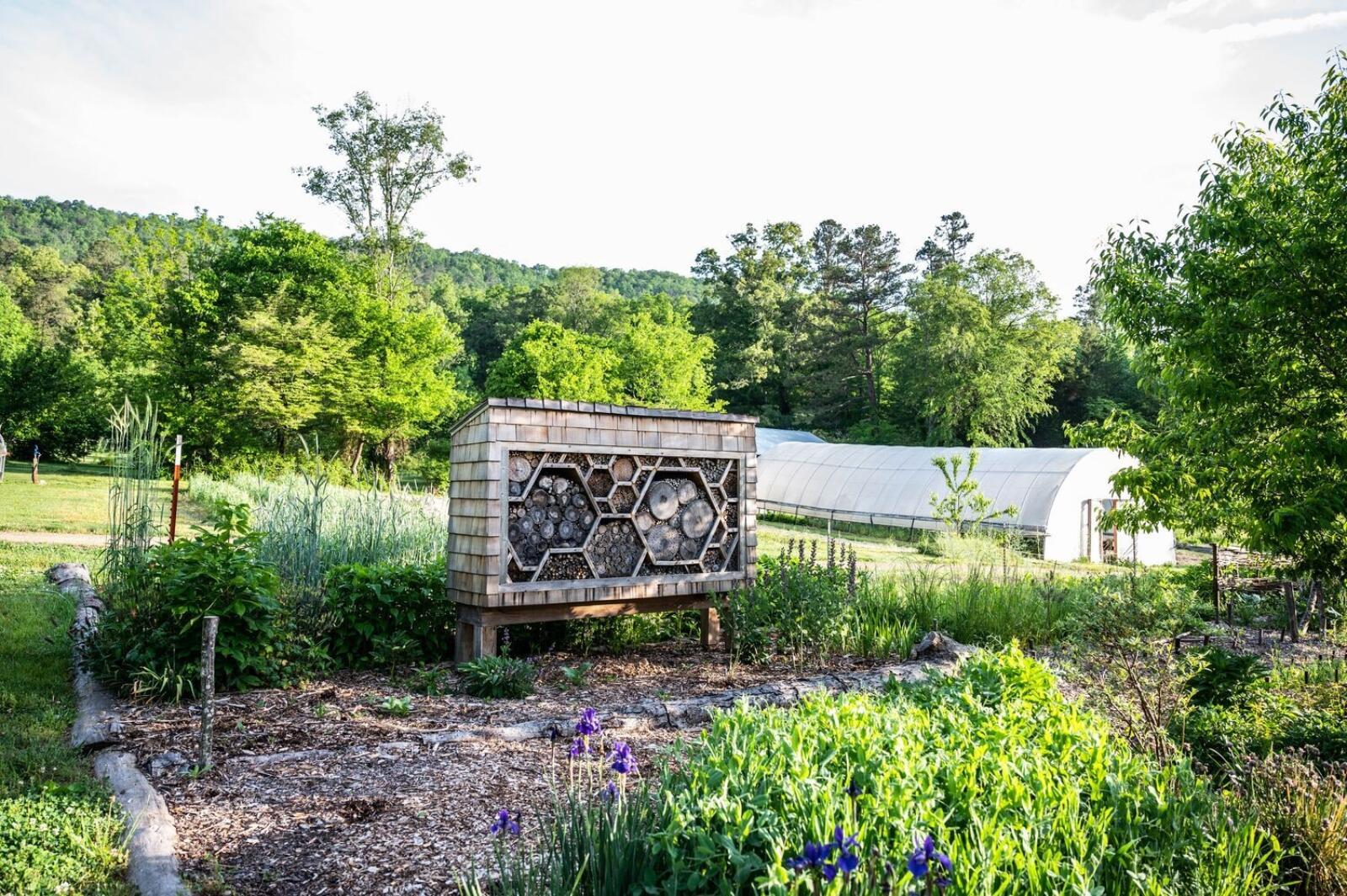 Blackberry Spring | Blackberry Magazine