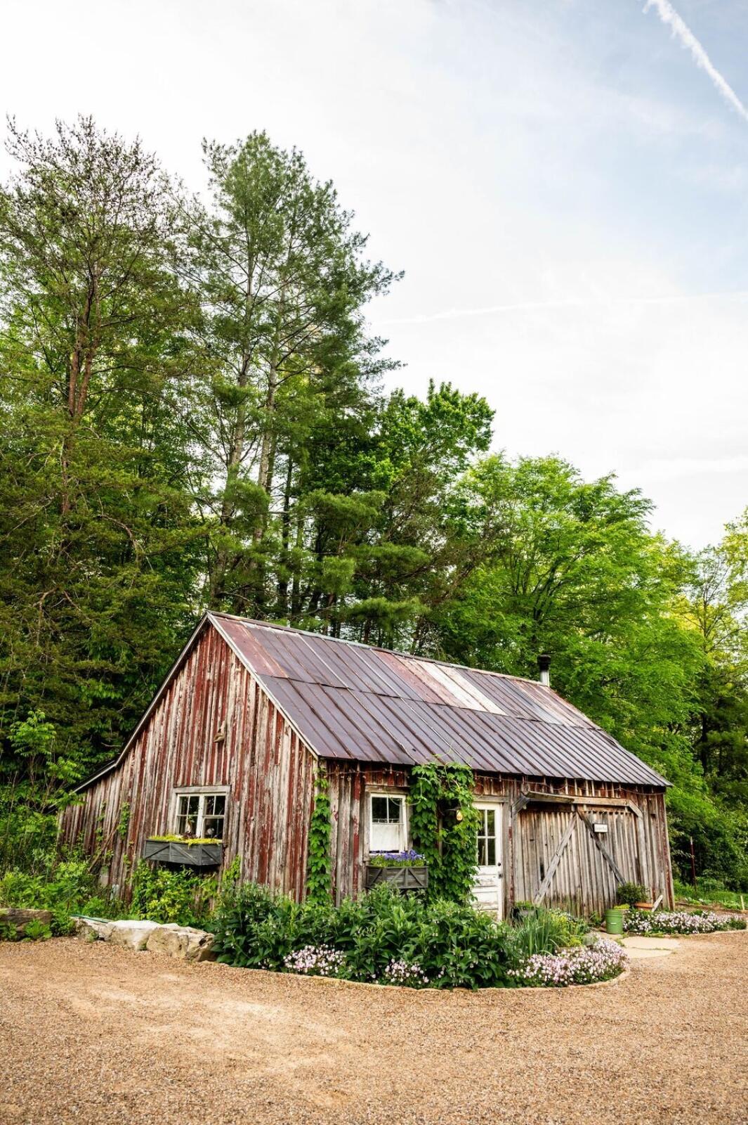 Blackberry Spring | Blackberry Magazine