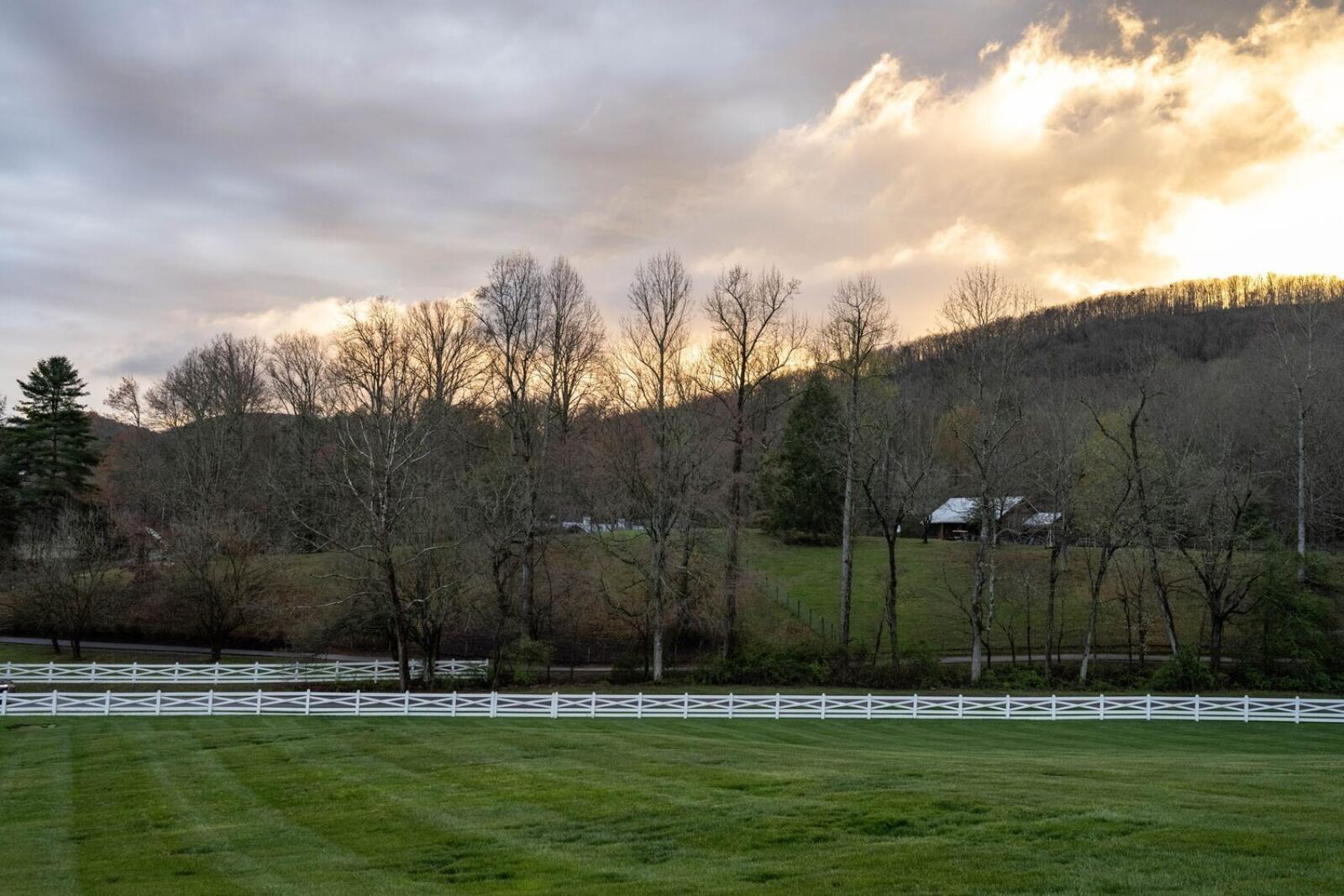 Blackberry Spring | Blackberry Magazine