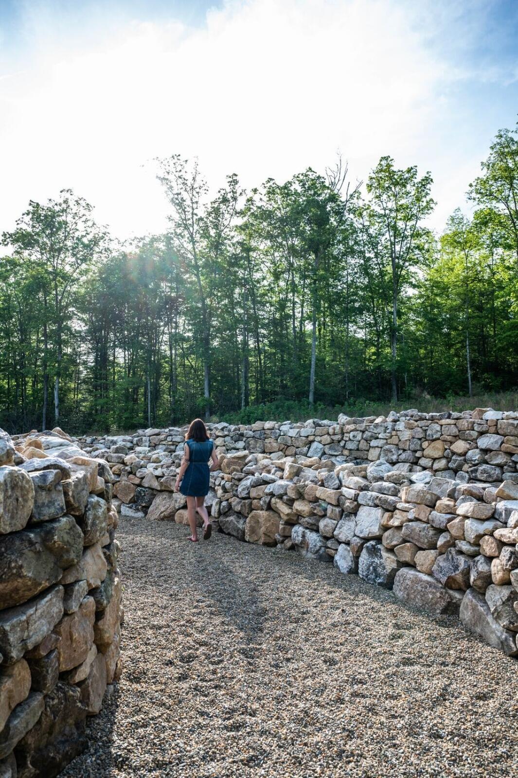 Blackberry Spring | Blackberry Magazine