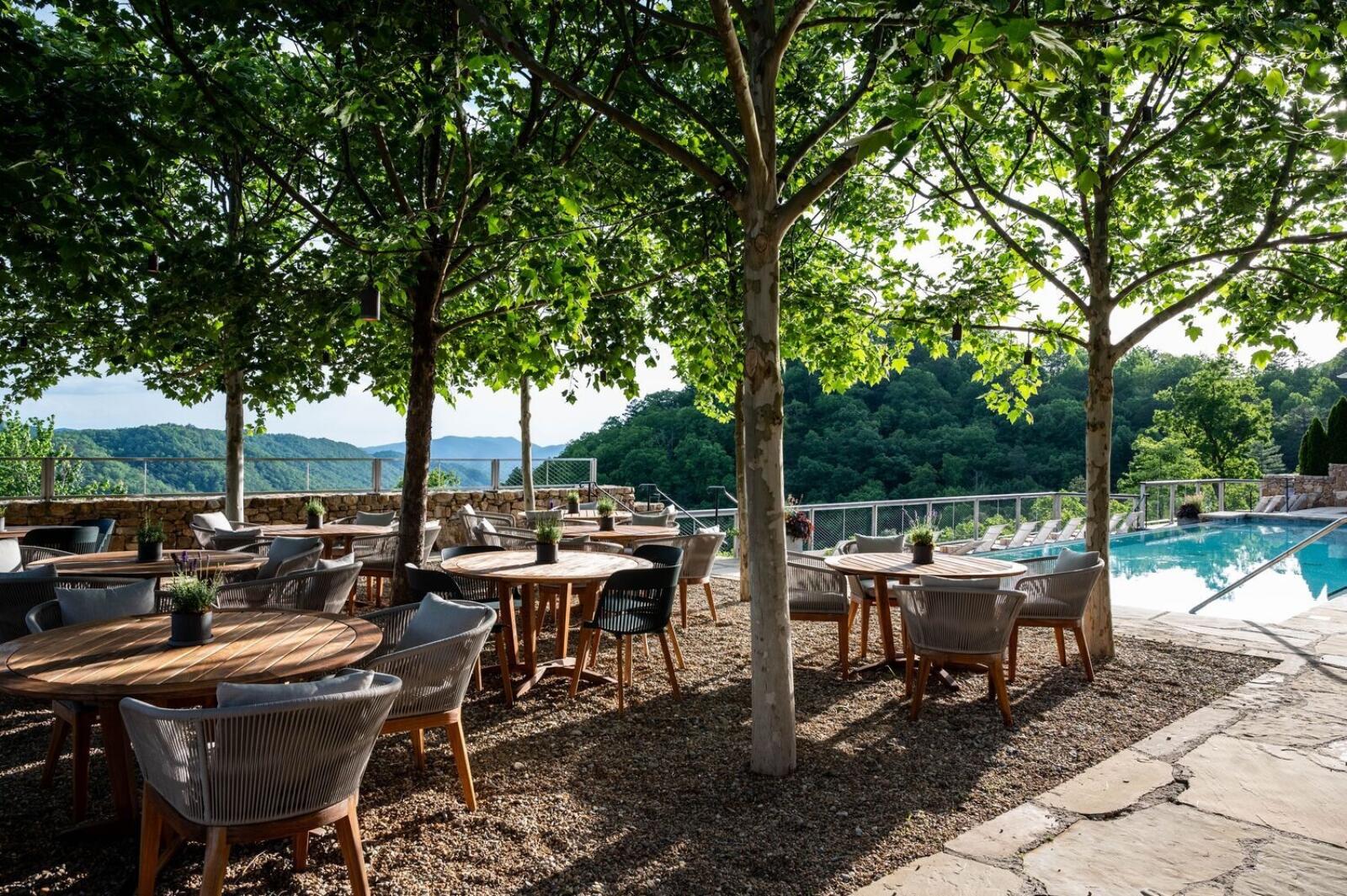 Blackberry Spring | Blackberry Magazine