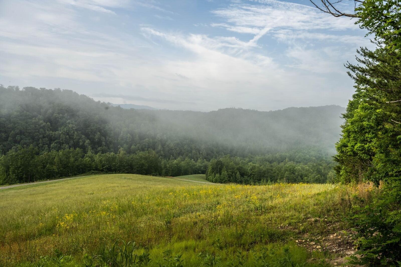 Blackberry Spring | Blackberry Magazine