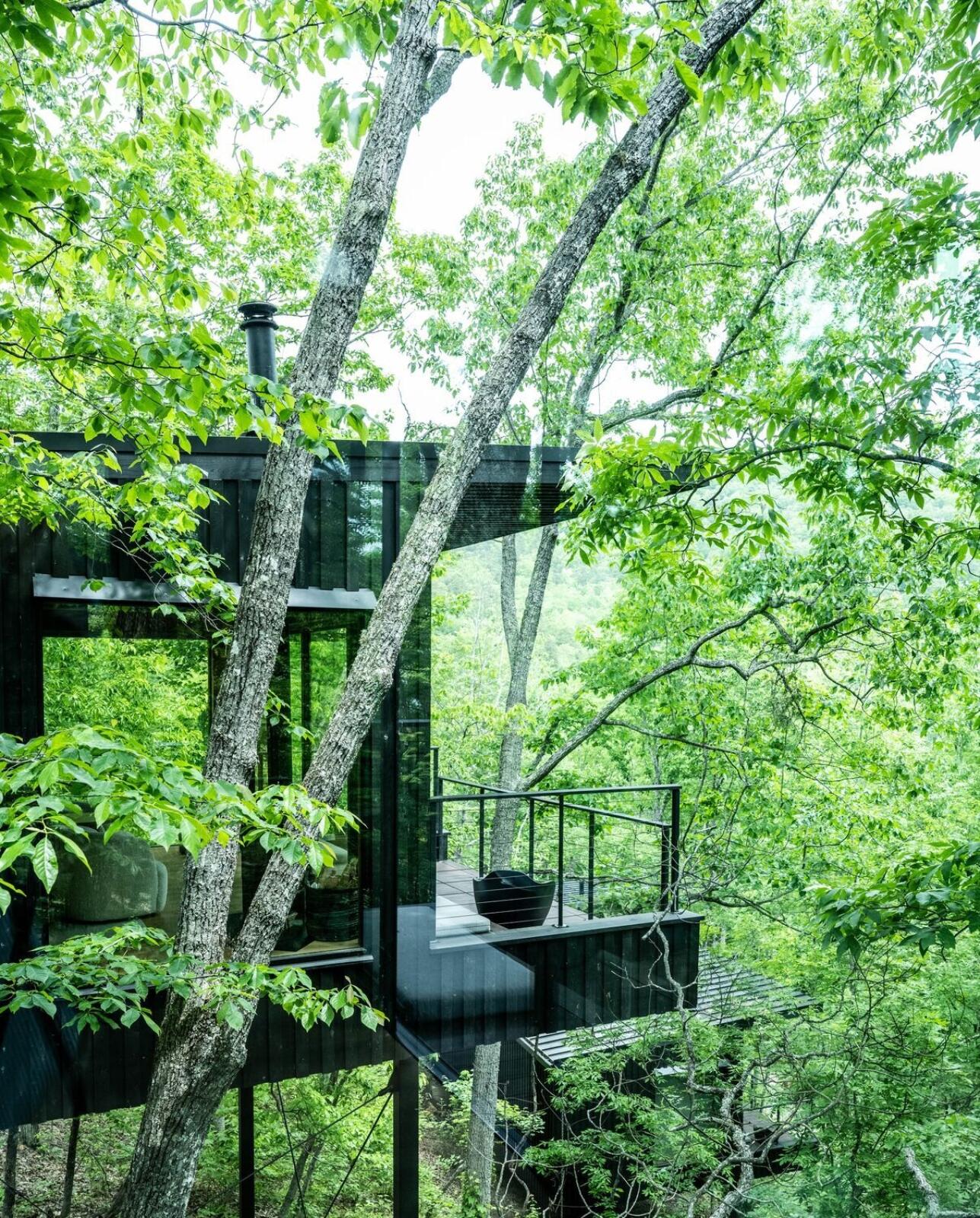 Blackberry Spring | Blackberry Magazine