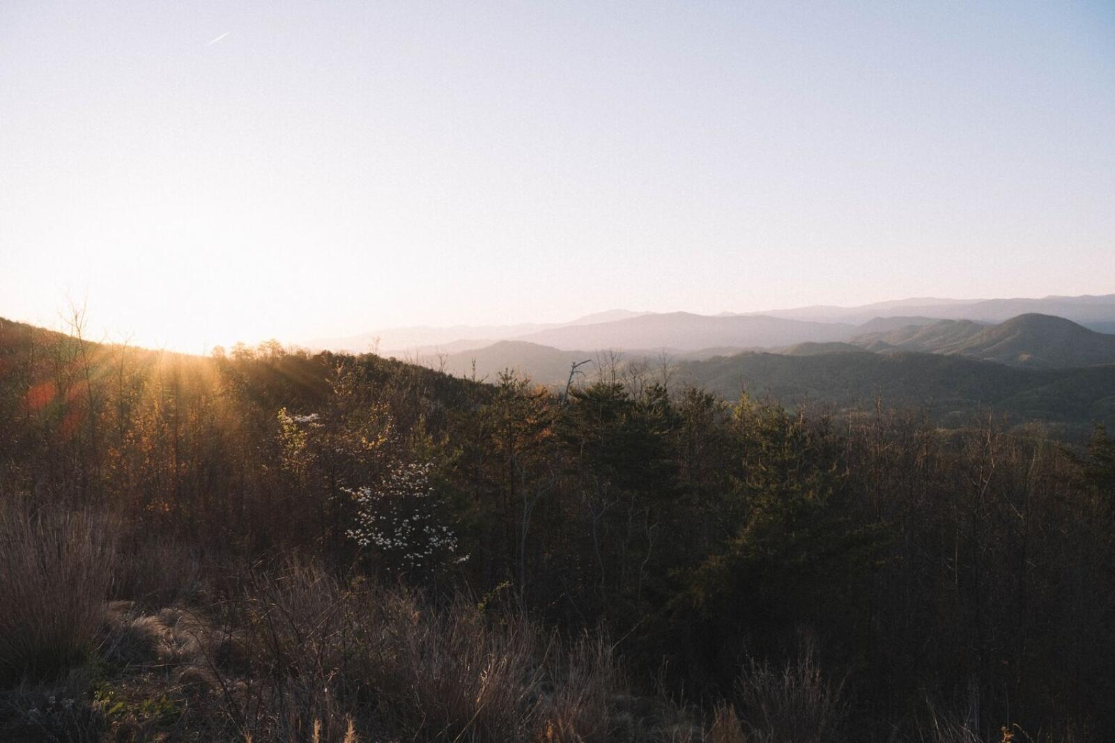 Blackberry Spring | Blackberry Magazine