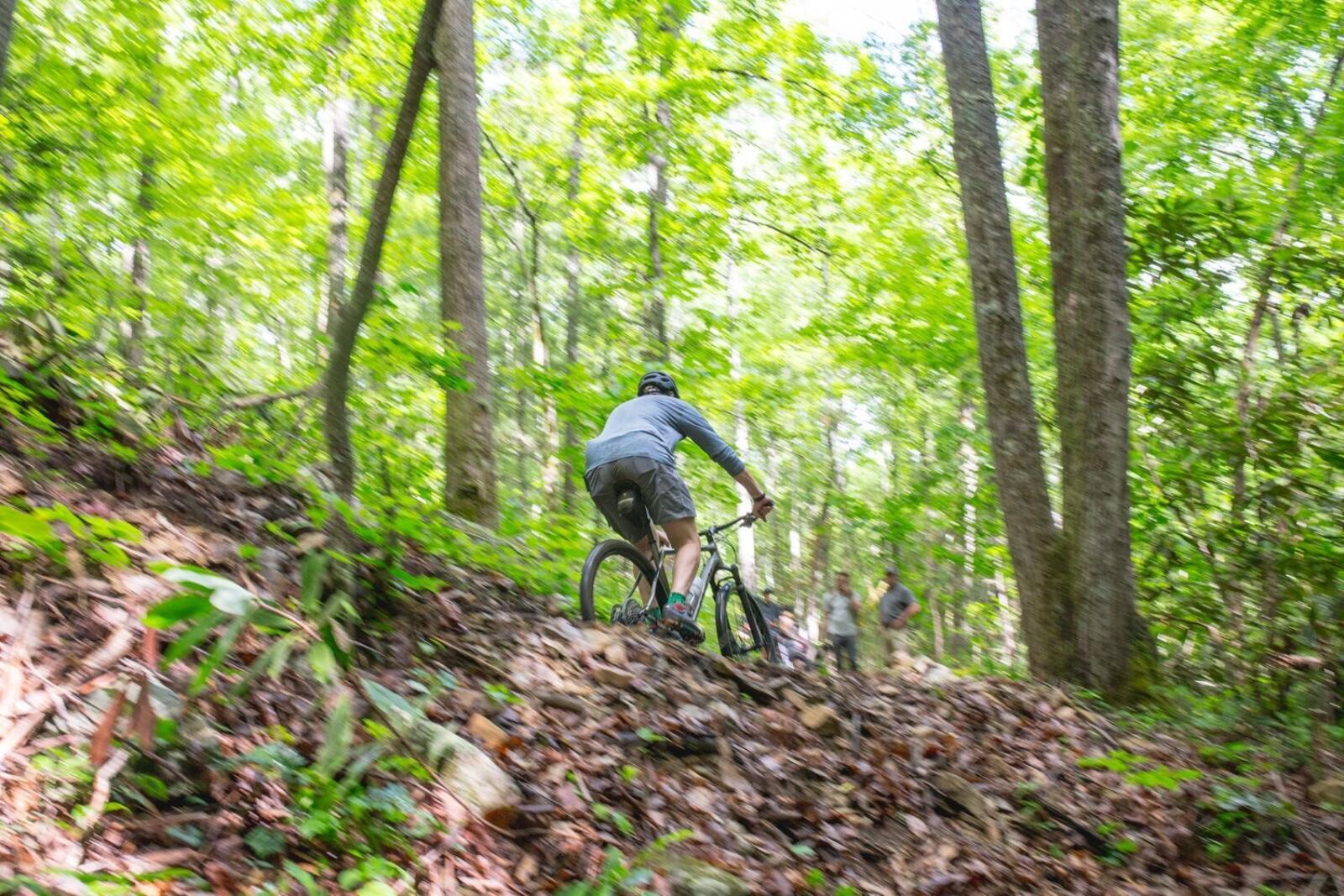 Blackberry Spring | Blackberry Magazine