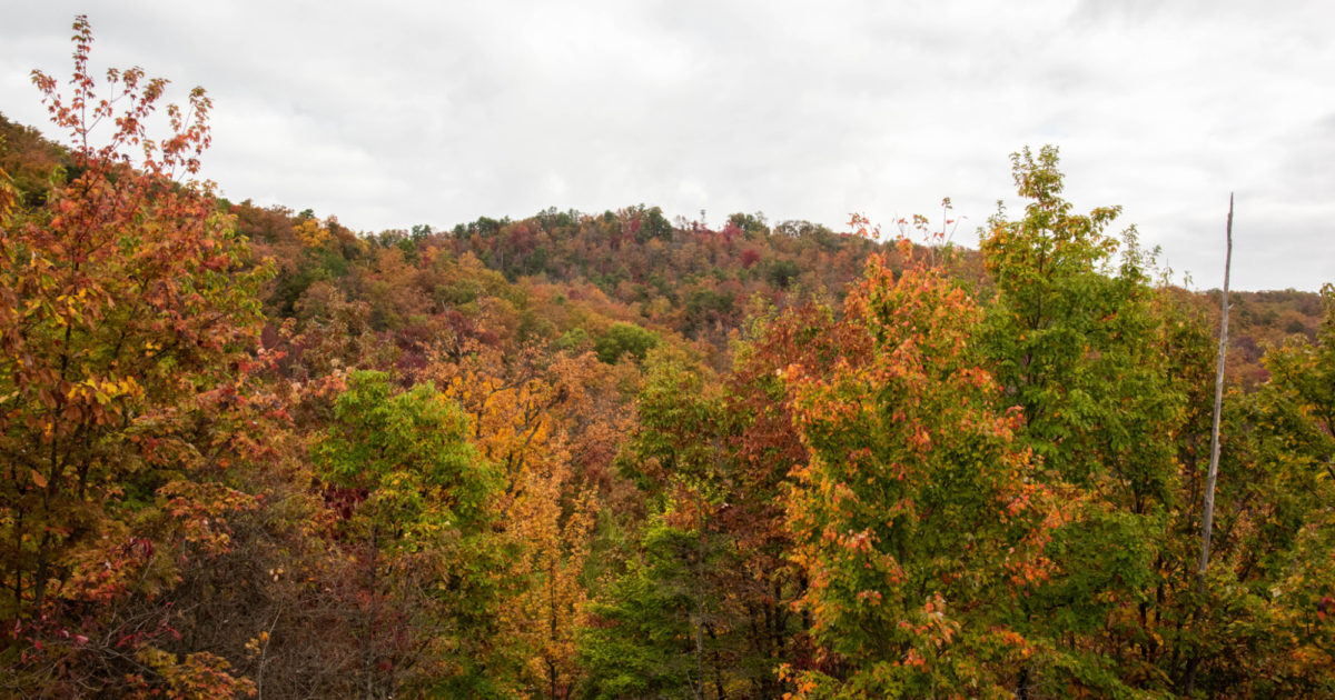 Blackberry Mountain Fall | Blackberry Magazine