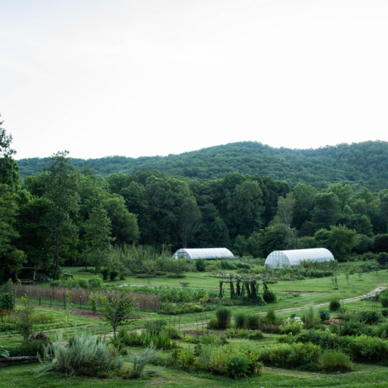 Galleries | Blackberry Magazine