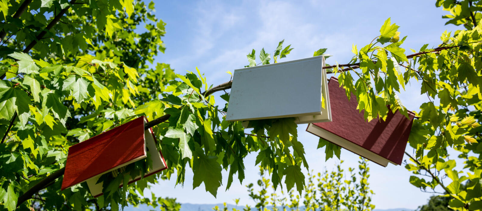 Well Read - The Lost Issue | Blackberry Magazine